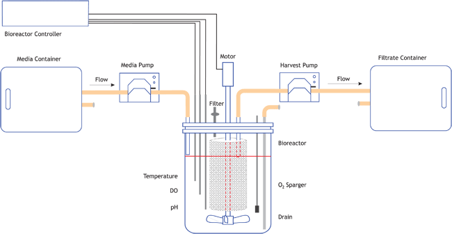 PendoTECH - Lab Spin Filter Bioreactors
